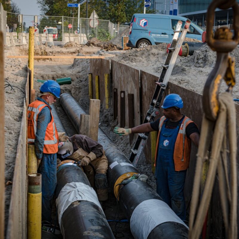 Van den Heuvel - Waves